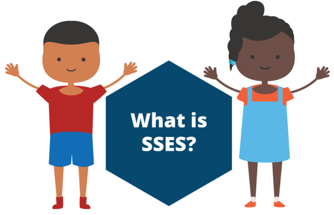 Tutoring (SSES Approved) – Education Solutions Now